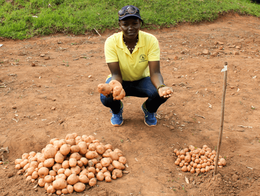 크롭라이프코리아, CropLife Korea - 전문가 견해: 개발도상국들의 식량안보 문제 해결에 GMO와 유전자교정작물 필요해